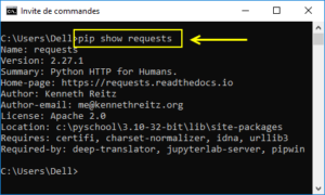 La bibliothèque Python Requests – Très Facile