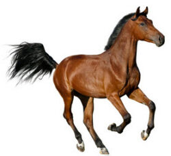 La bibliothèque openCV Python – Très Facile