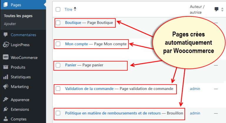 Installation et configuration de la plateforme woocommerce – Très Facile